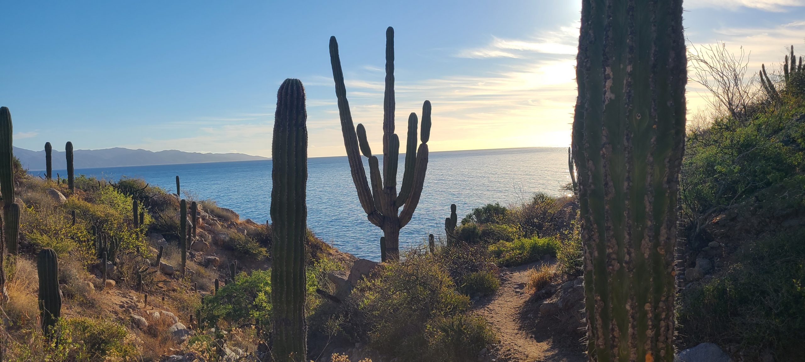 Baja Sur Travel Guide - Cross Border Coverage