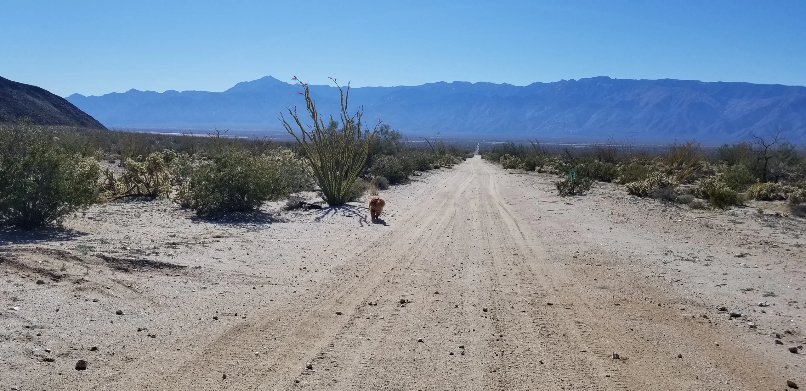 Camping in Ensenada - Baja, Mexico - Cross Border Coverage